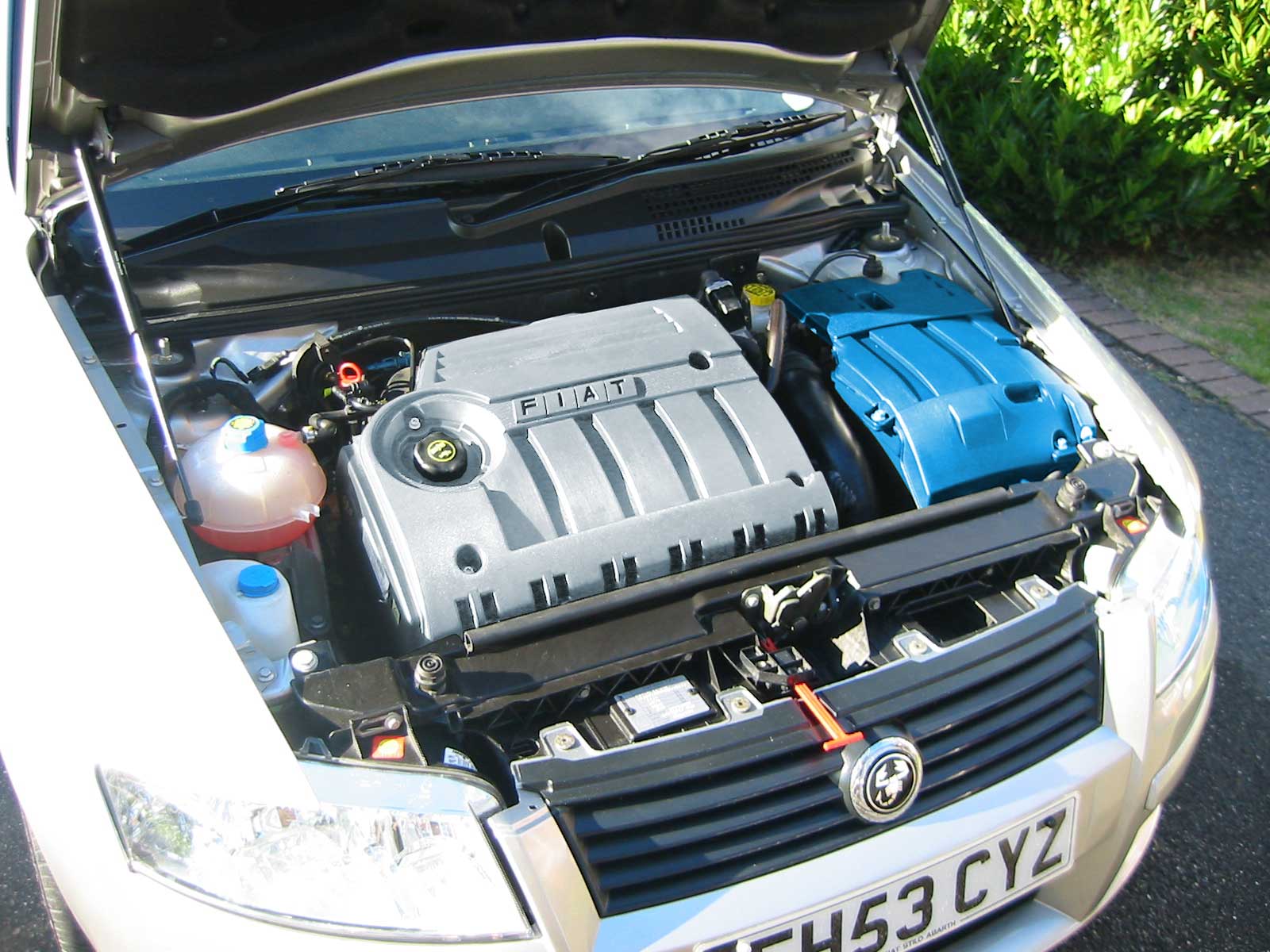 Engine Bay (Silver & Blue) | The FIAT Forum