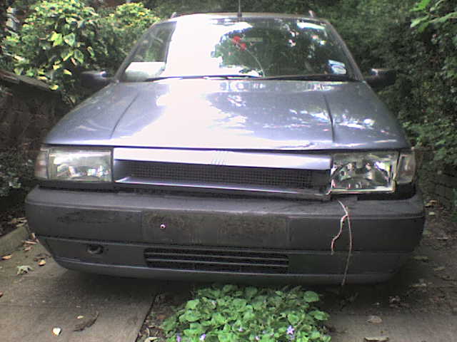 Franco's mangled nose :( | The FIAT Forum