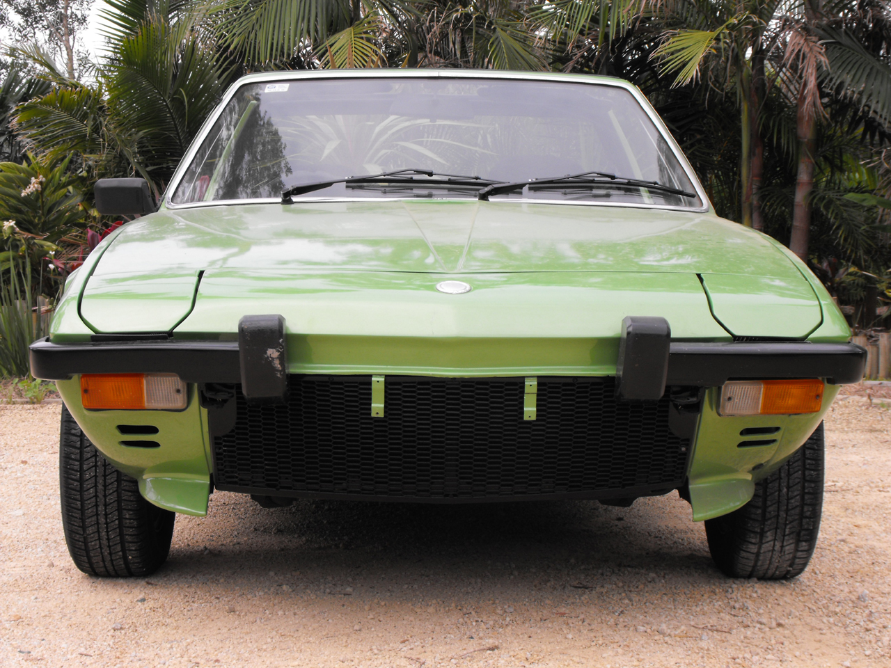 The Frog! | The FIAT Forum