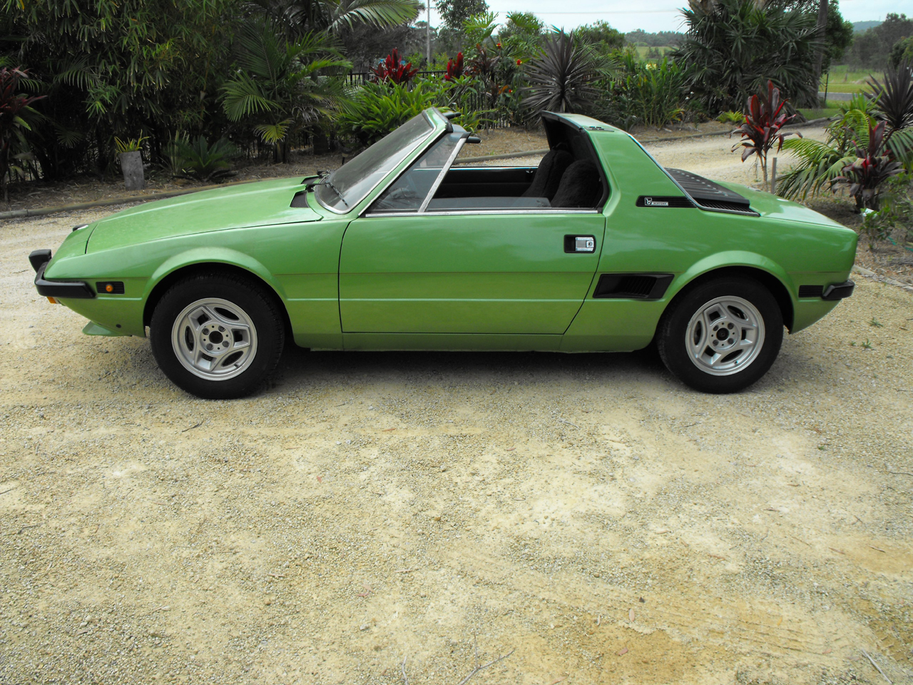 The Frog! | The FIAT Forum